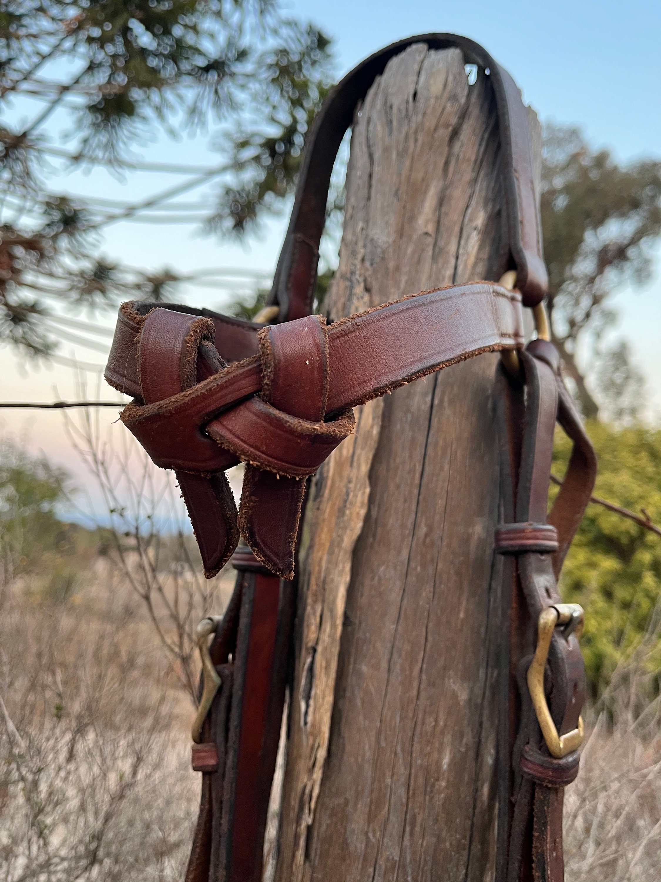 Mcleods Bridle. Mcleods Daughters Inspired Leather Horse Bridle Replica ...