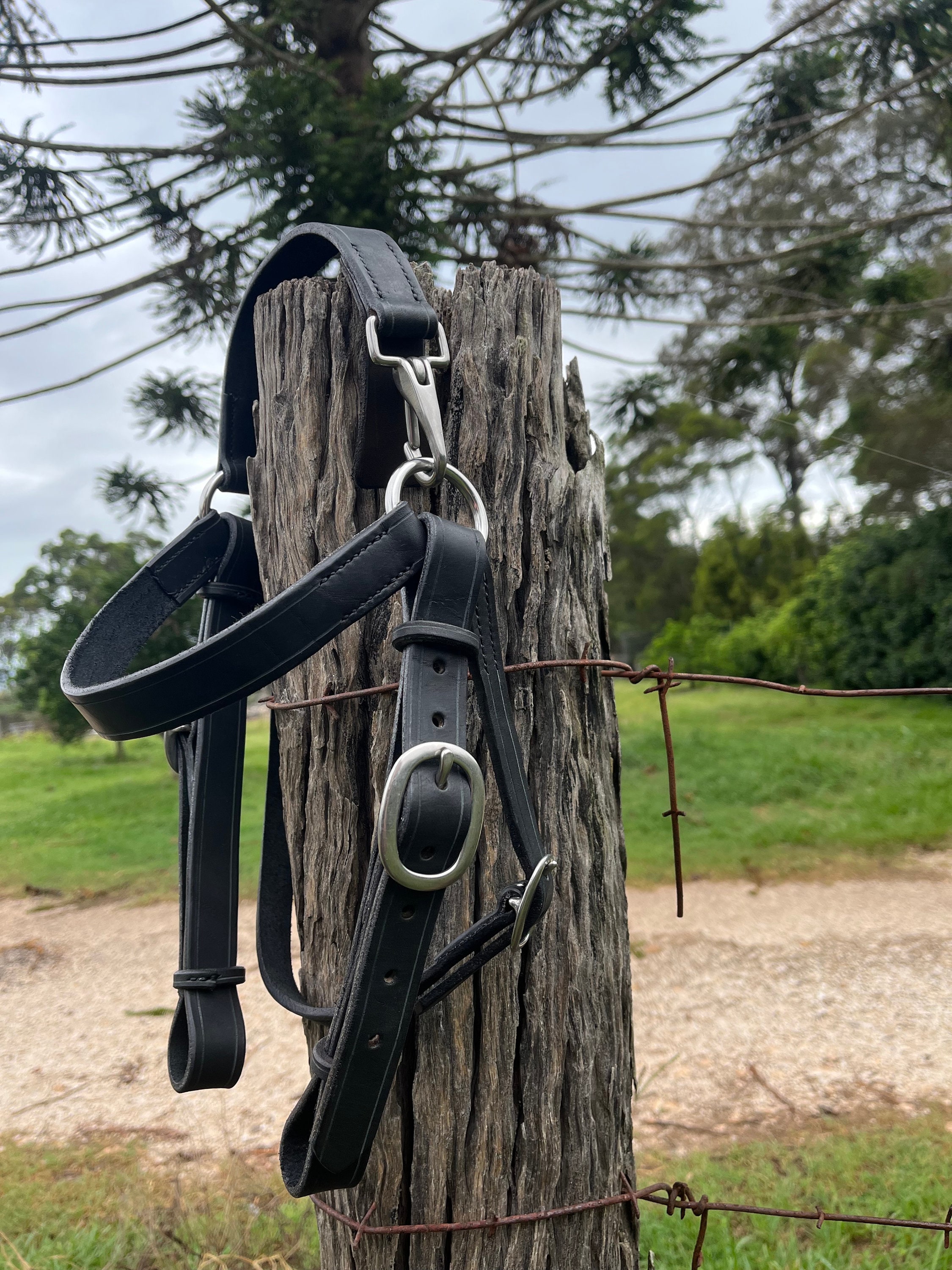 Donkey Bridle and Mule Bridle Handmade Leather - Etsy