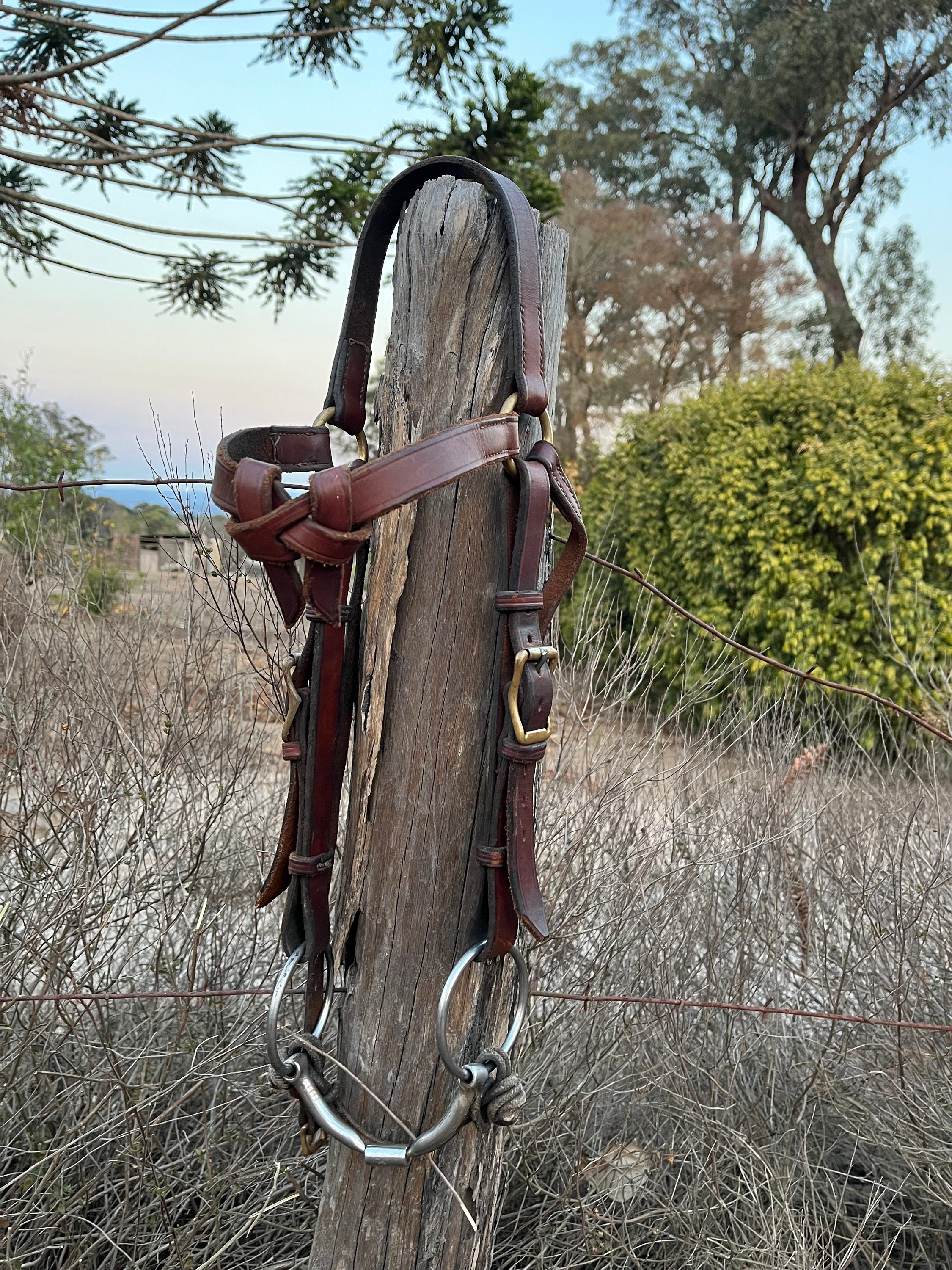 Mcleods Bridle. Mcleods Daughters Inspired Leather Horse Bridle Replica ...