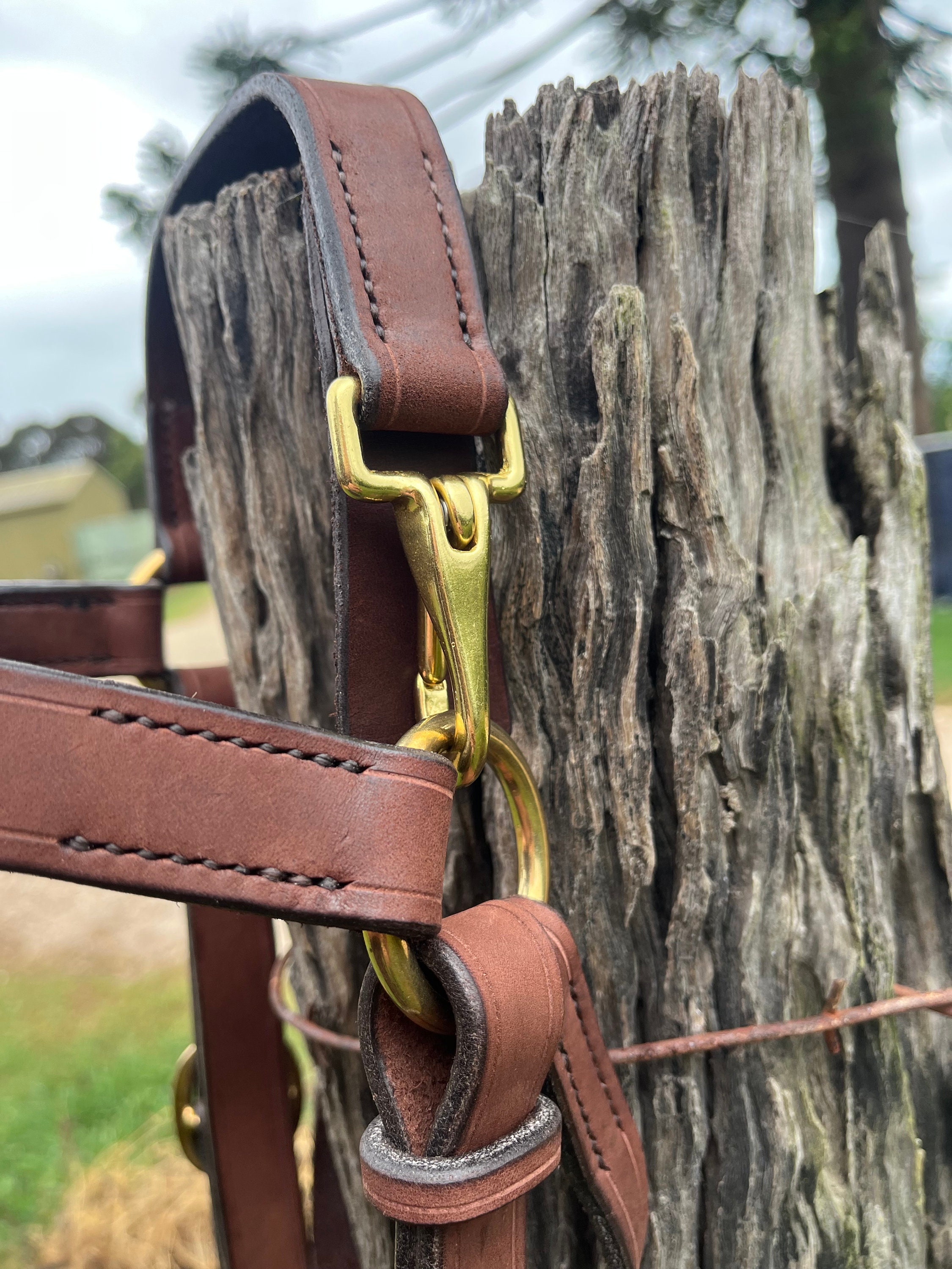 Donkey Bridle and Mule Bridle Handmade Leather - Etsy