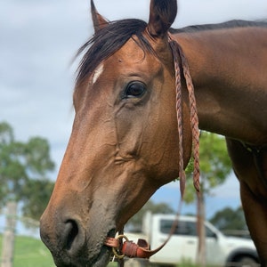 Bridleless Bit. Leather Horse Bit. - Etsy