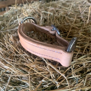 Bridleless Bit. Leather Horse Bit. - Etsy