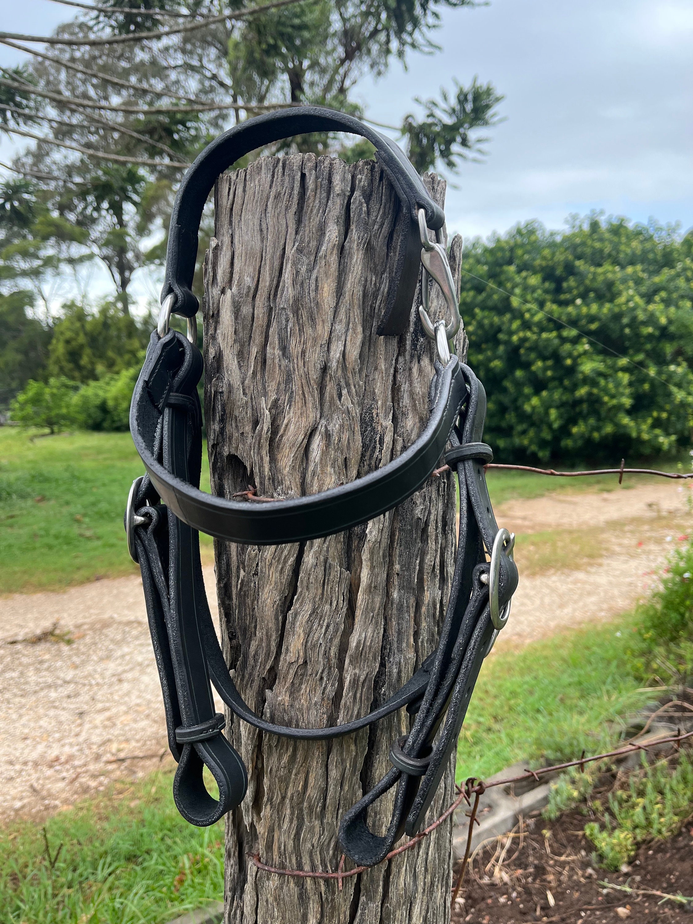 Donkey Bridle and Mule Bridle Handmade Leather - Etsy