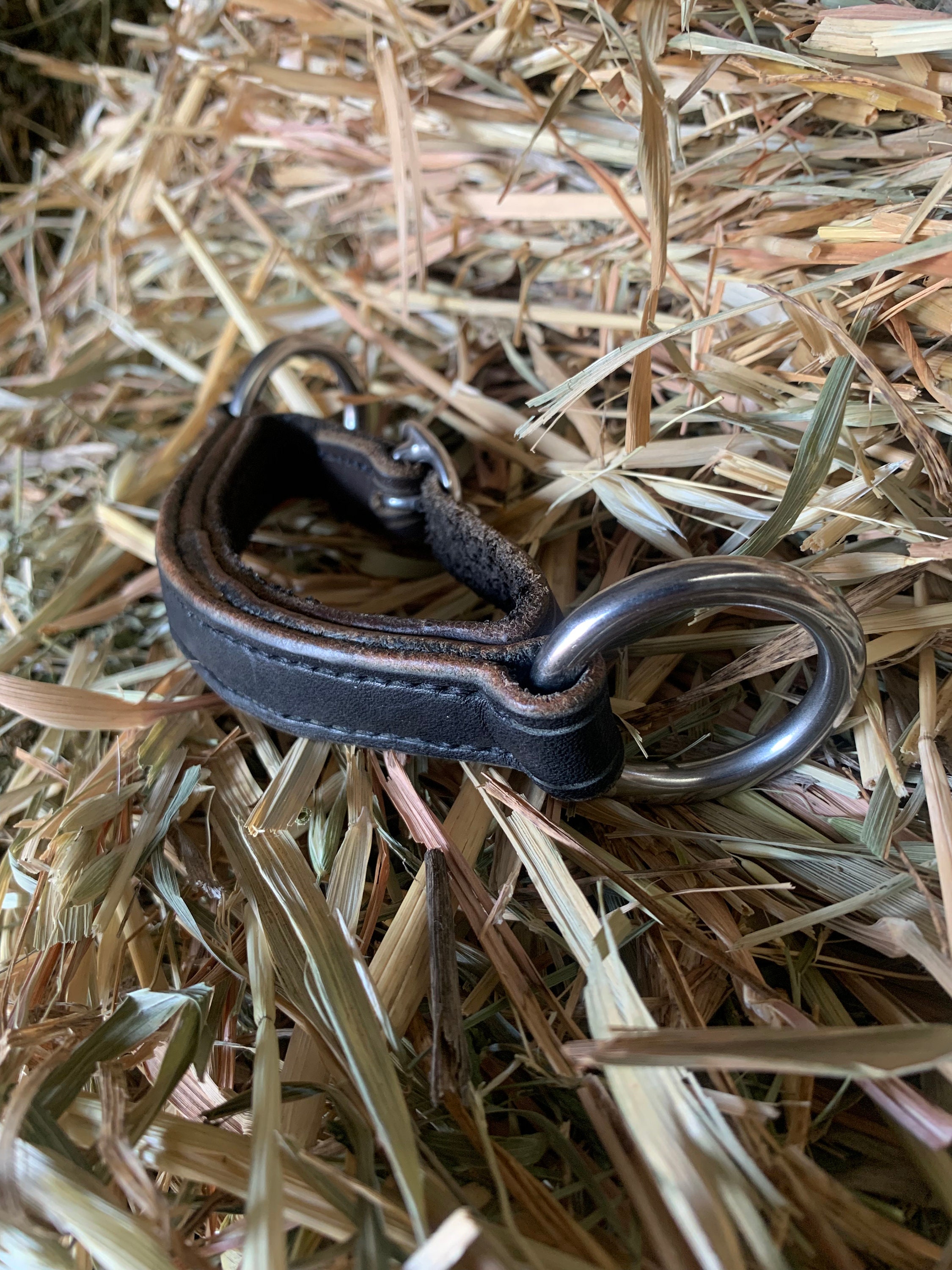 Bridleless Bit. Leather Horse Bit. - Etsy