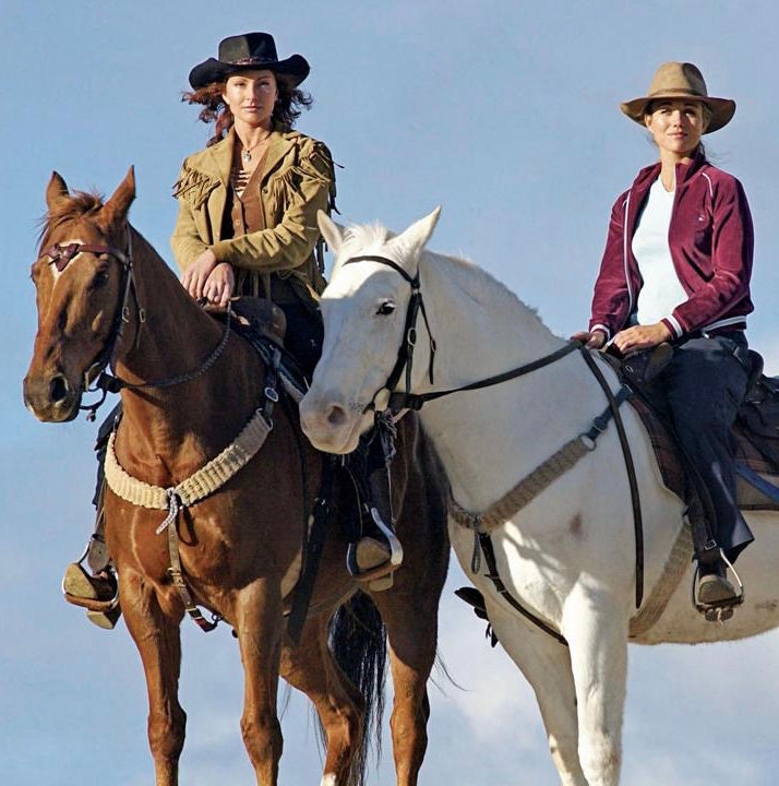 Mcleods Bridle. Mcleods Daughters Inspired Leather Horse Bridle Replica ...