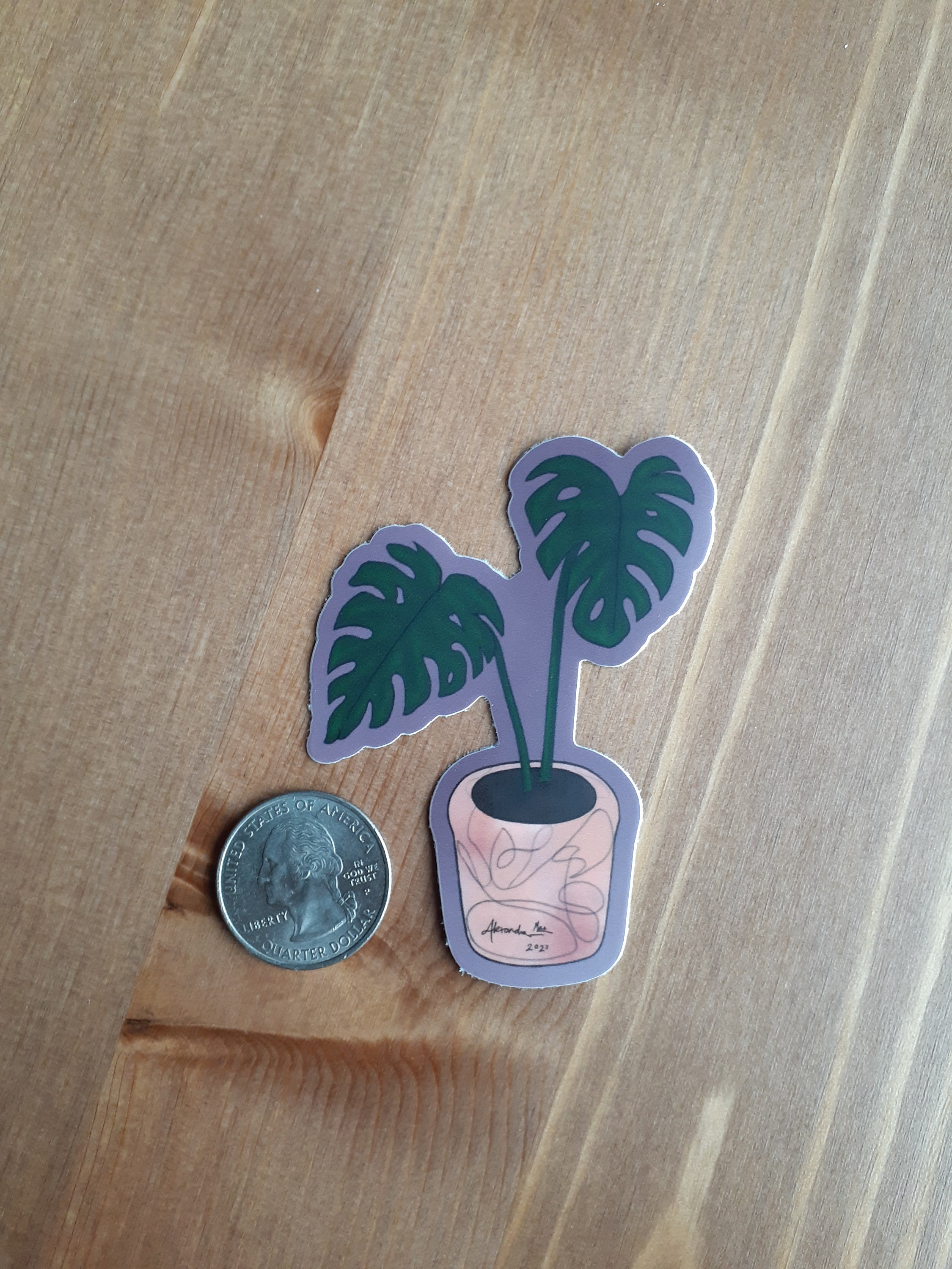 Monstera Plant Sticker/decal - Etsy