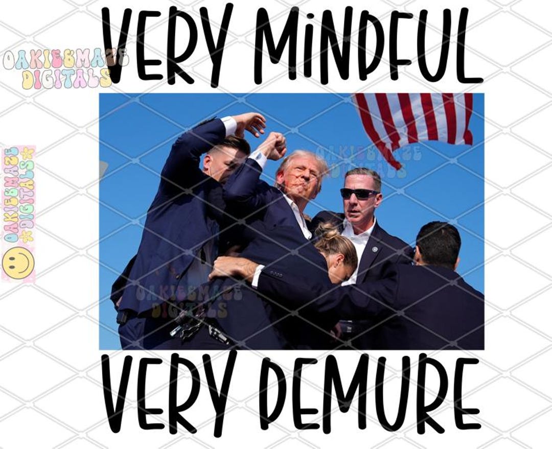 ORIGINAL Mindful Demure Trump Vance 2024 Still Standing Trump 2024 ...