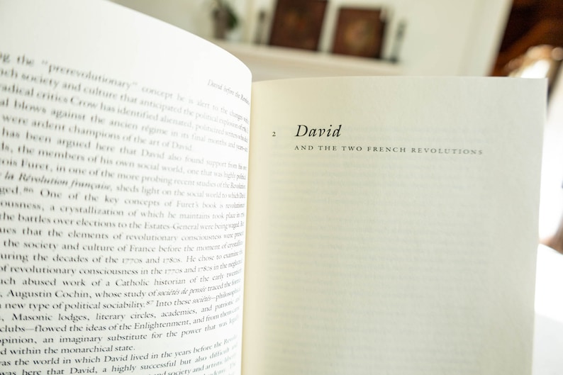 Jacques-louis David: Revolutionary Artist Art, Politics, and the French ...