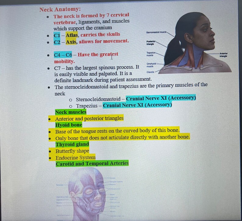 Introduction to Physical Assessment for Nursing/ Nursing School Notes ...