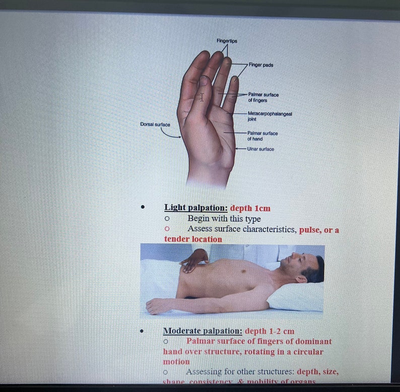 Introduction to Physical Assessment for Nursing/ Nursing School Notes ...