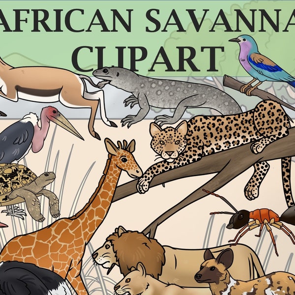 Plants and Animals of Zion National Park Clipart - Etsy