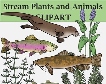 Plants and Animals of Zion National Park Clipart - Etsy