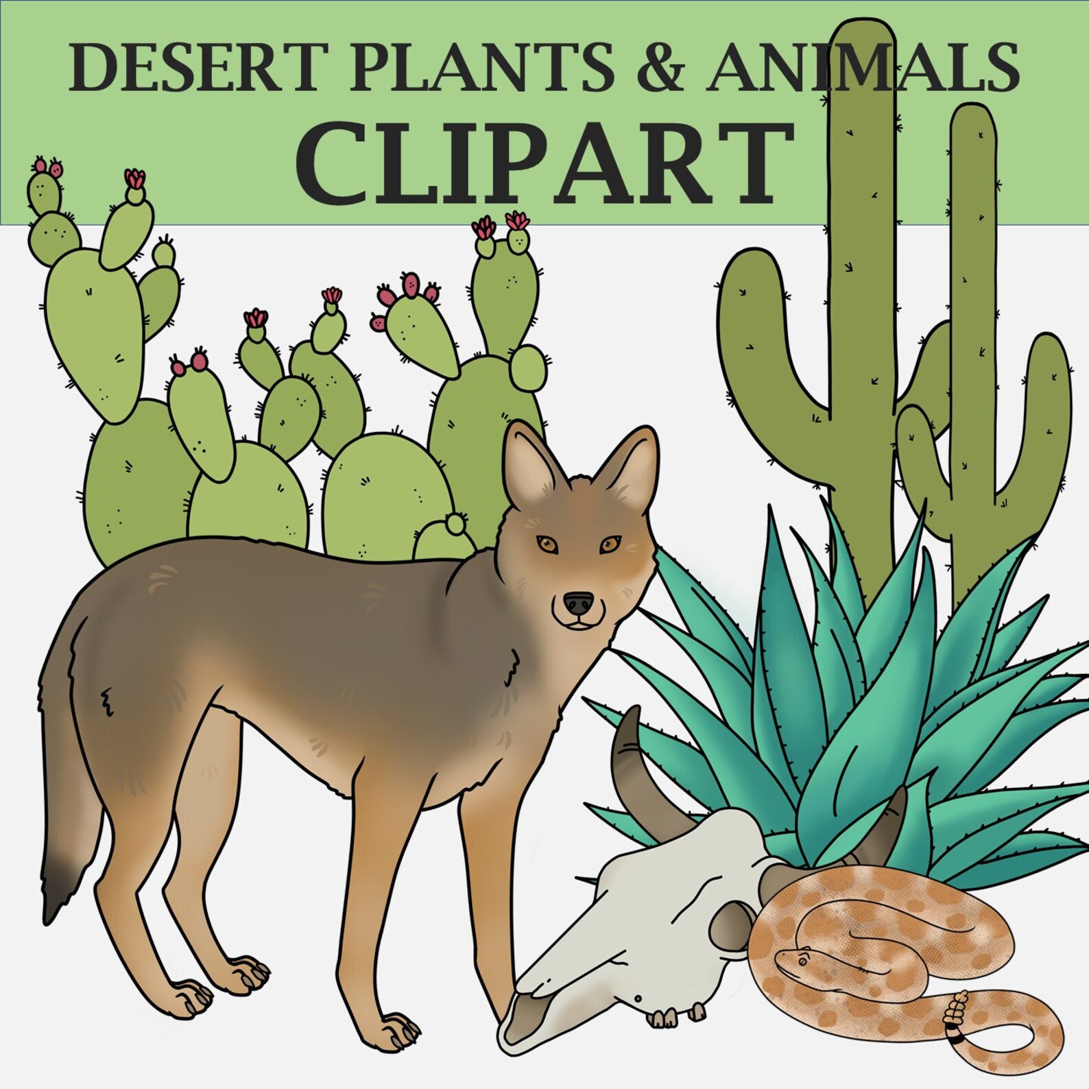 Desert Plants and Animals of North America Clipart - Etsy