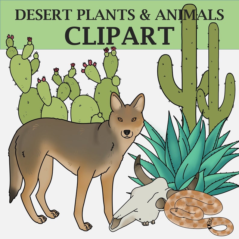 Desert Plants and Animals of North America Clipart - Etsy