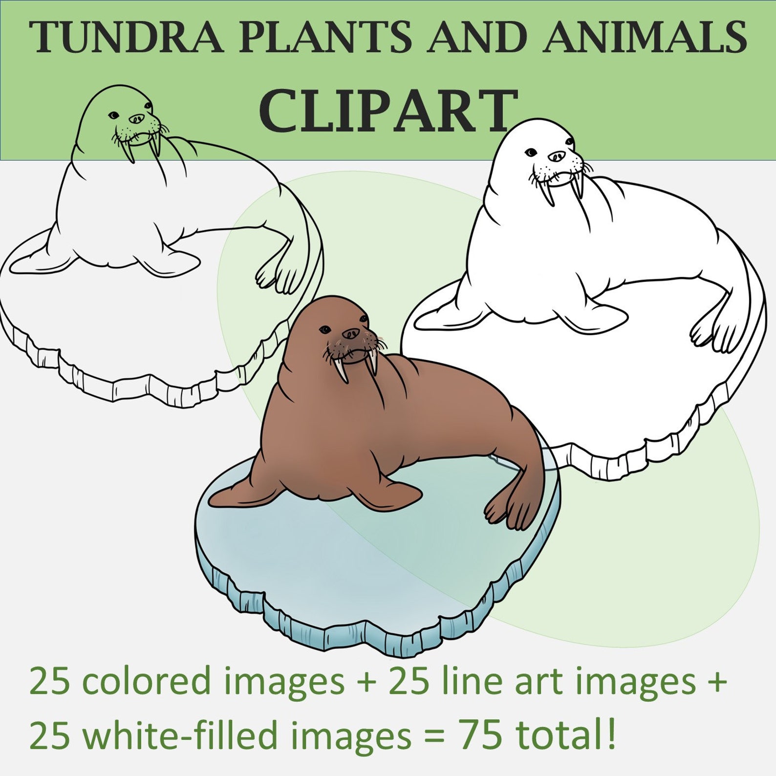 Tundra Plants and Animals Clipart - Etsy