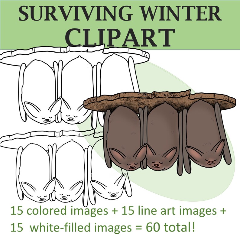 Surviving Winter Hibernating Animals of North America Clipart - Etsy
