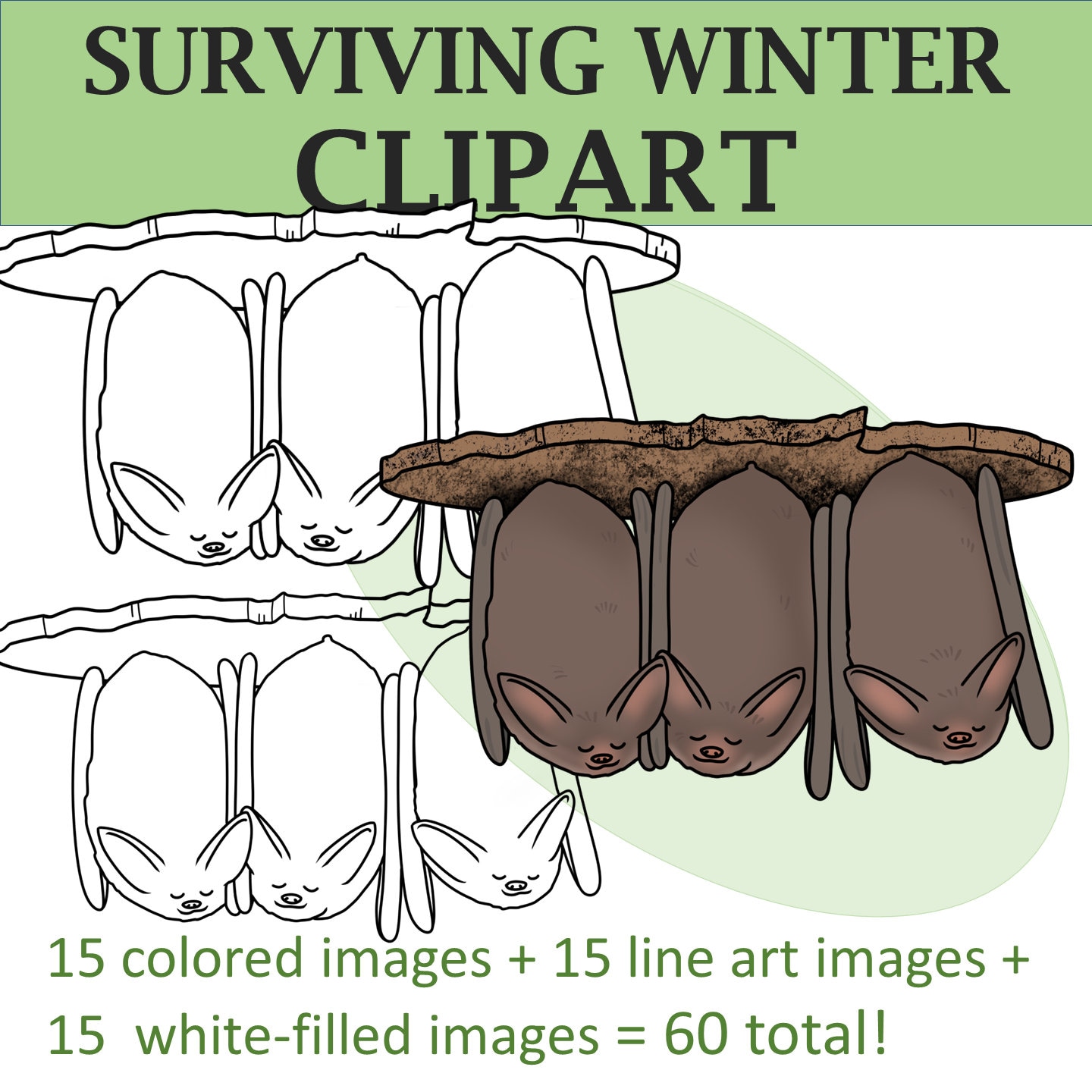 Surviving Winter Hibernating Animals of North America Clipart - Etsy