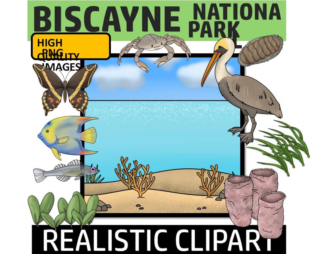 Biscayne National Park Clip Art (national Parks Clip Art) - Etsy