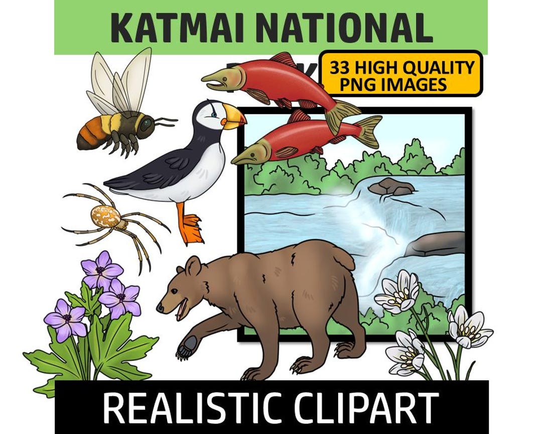 Plants and Animals of Katmai National Park Clipart - Etsy