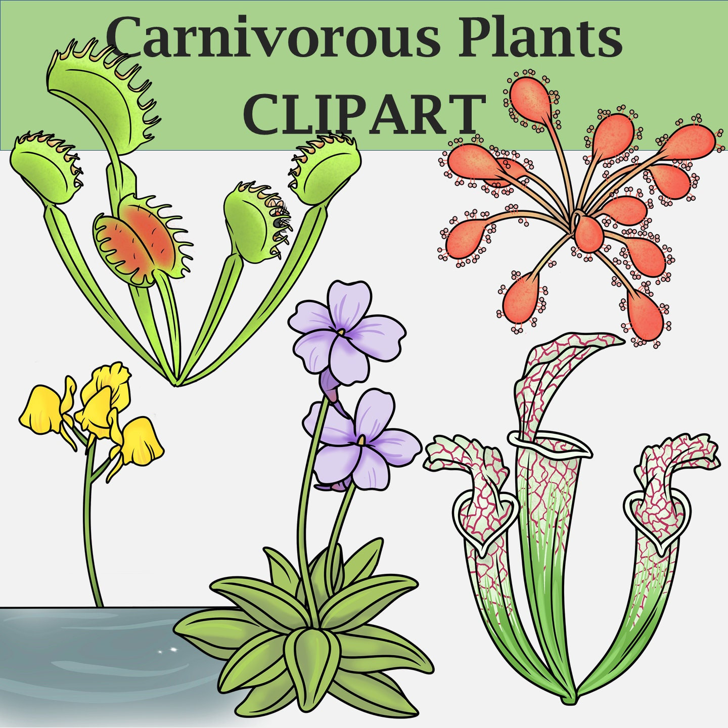 Carnivorous Plants Clipart