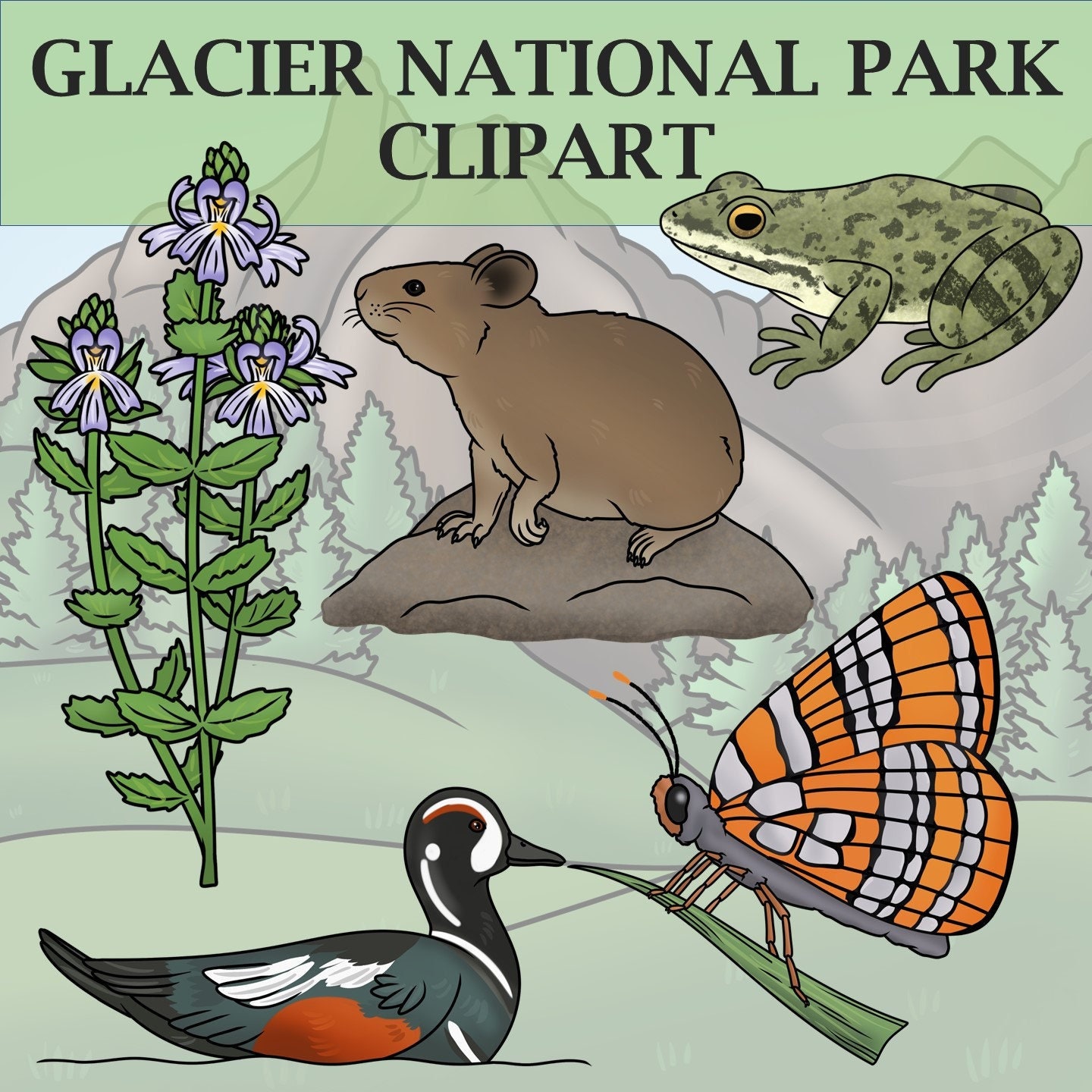 Plants and Animals of Glacier National Park Clipart - Etsy
