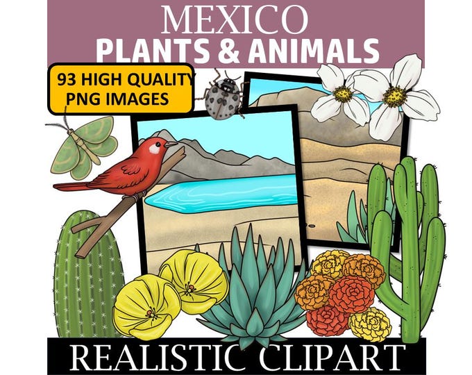 Clipart Benito Juárez, Presidente de México, Historia de México Set 121 ...