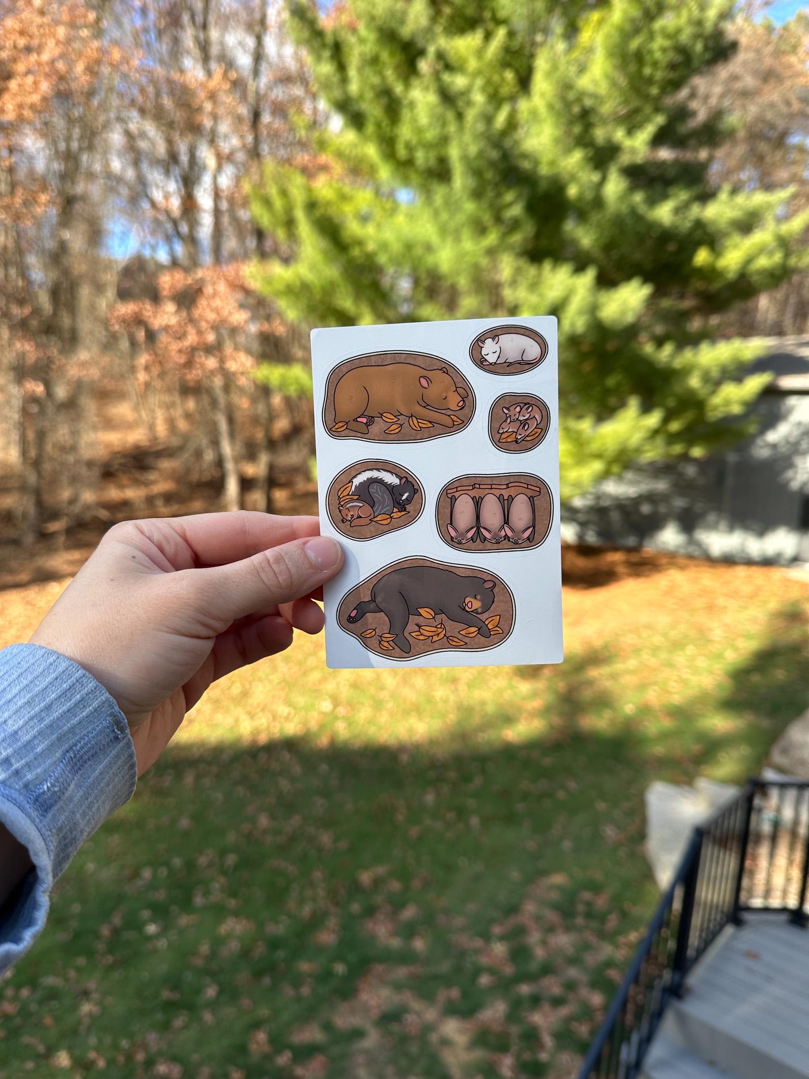 Hibernating Animals Sticker Set (6 Animals!) - Etsy