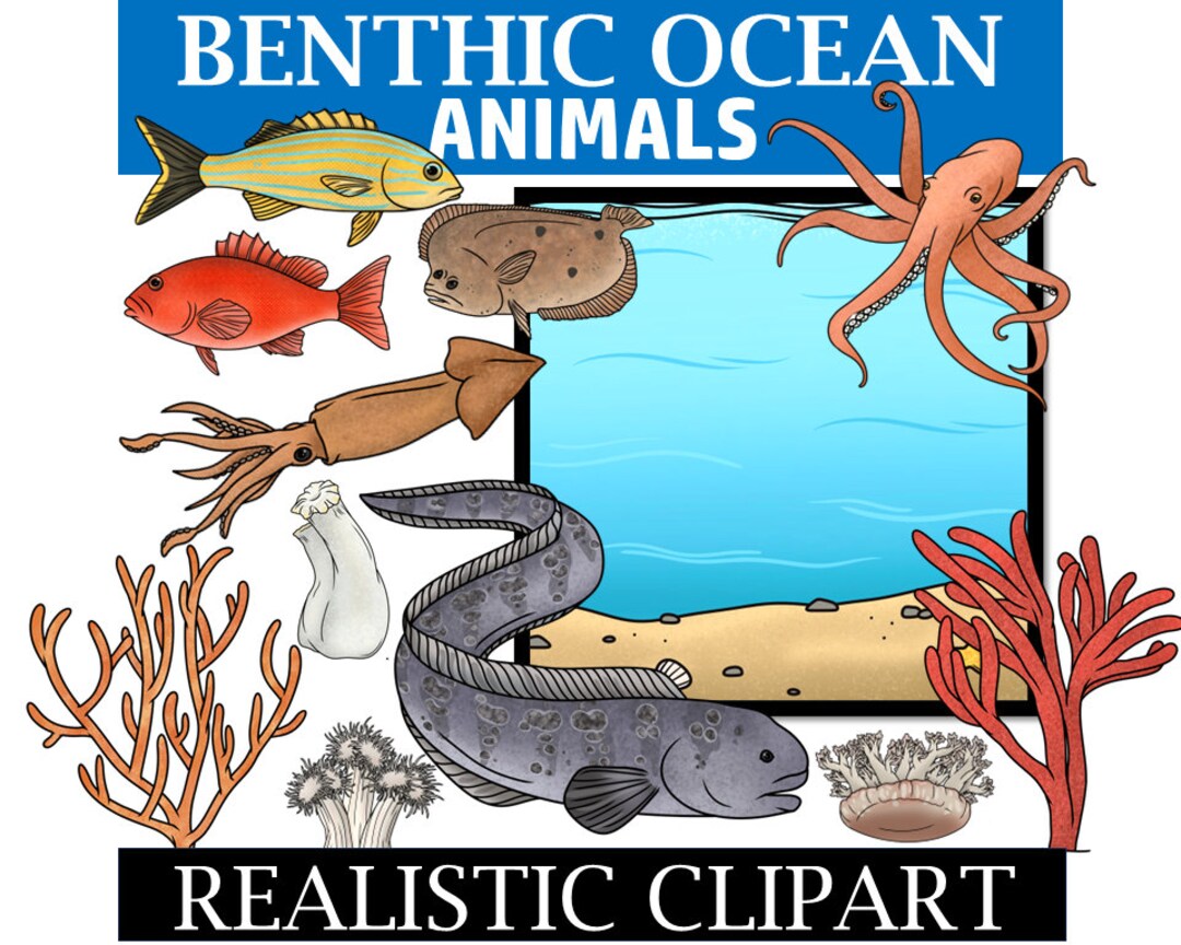 Benthic Ocean Clip Art - Etsy
