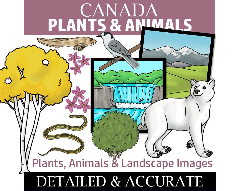 Canadian Clip Art - Plants and Animals of Canada Clipart - Etsy