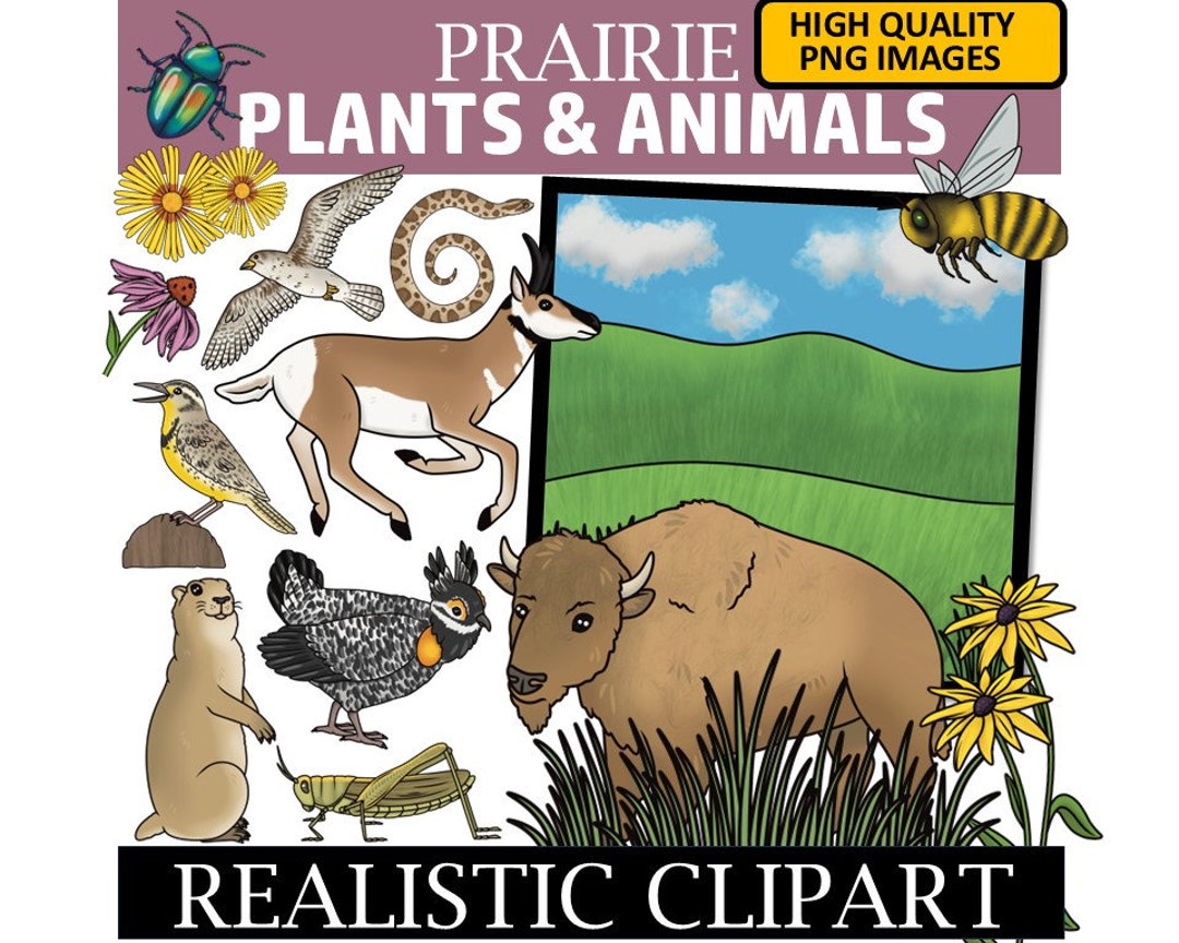 Prairie Clip Art - Great Plains Habitat Clipart - Etsy