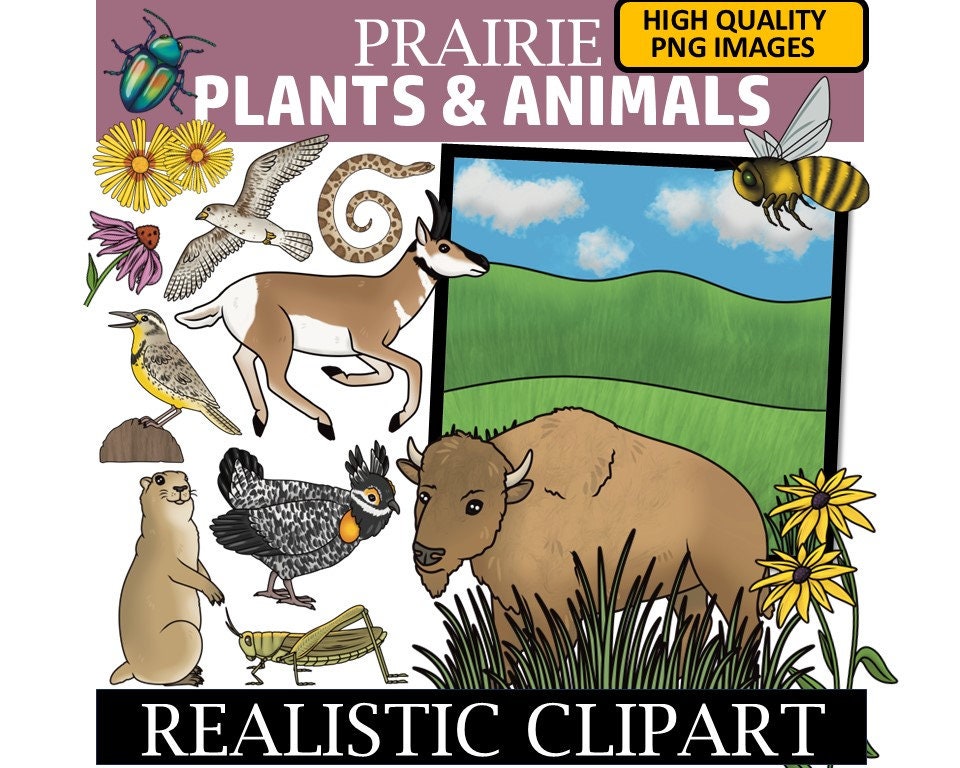 Prairie Clip Art - Great Plains Habitat Clipart - Etsy
