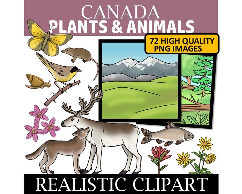 Canadian Clip Art - Plants and Animals of Canada Clipart - Etsy