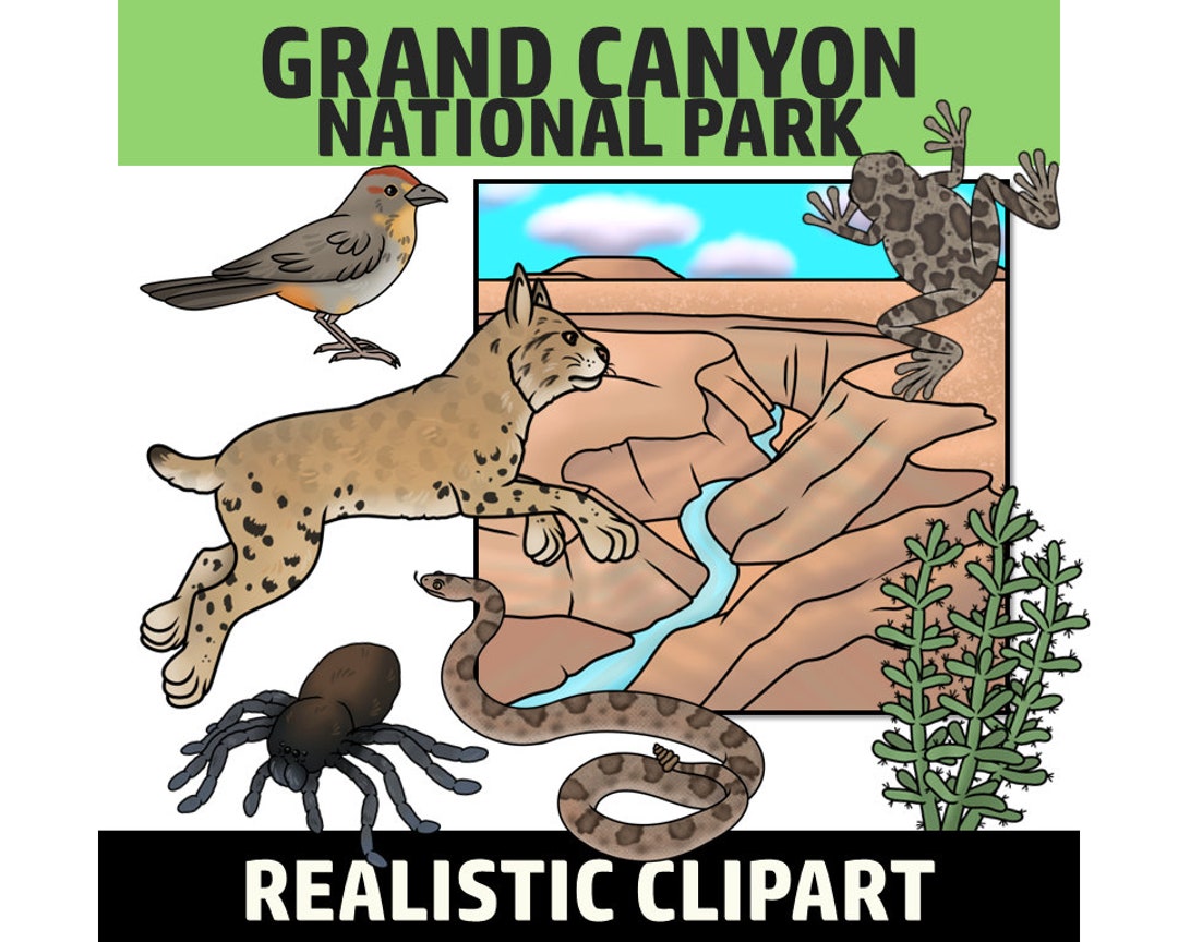 Grand Canyon National Park Clipart: Arizona Plants & Animals - Etsy