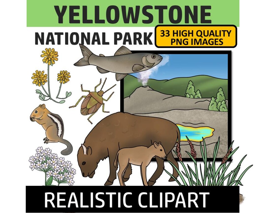 Plants and Animals of Yellowstone National Park Clipart - Etsy