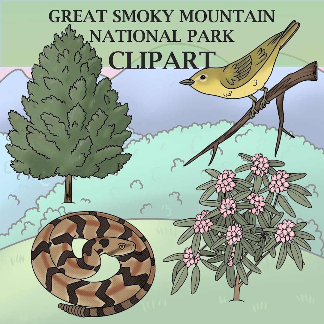 Plants and Animals of the Great Smoky Mountains National Park Clipart ...