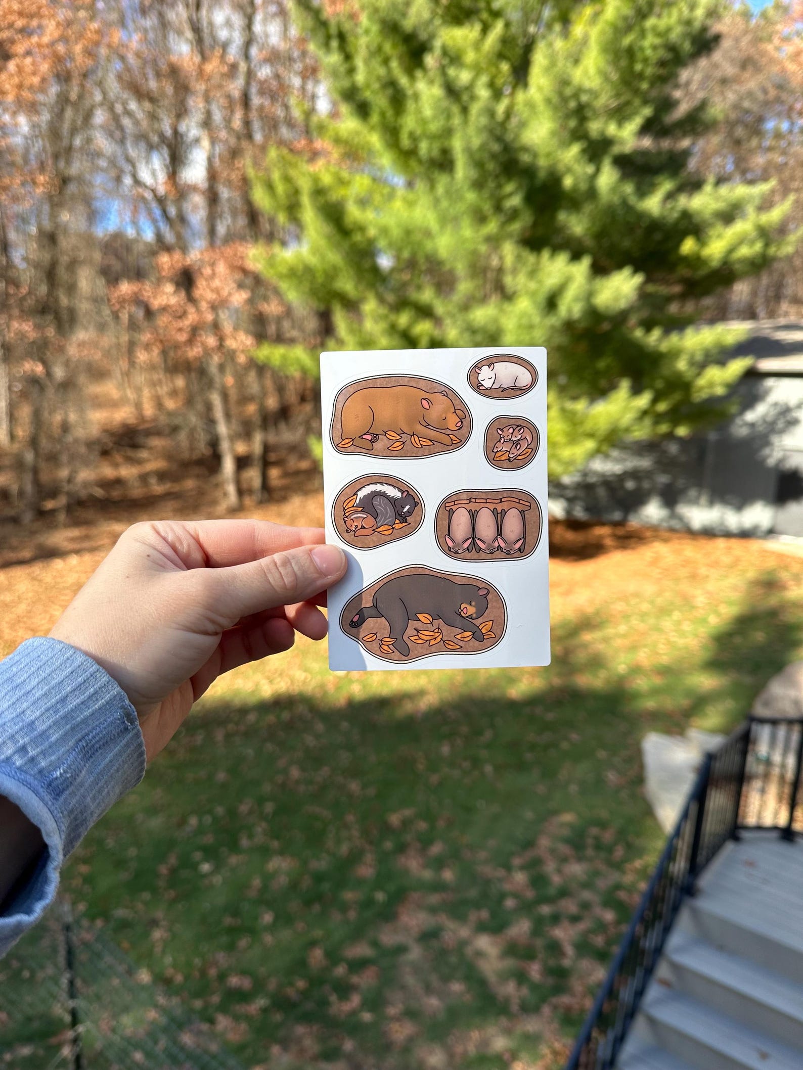 Hibernating Animals Sticker Set (6 Animals!) - Etsy