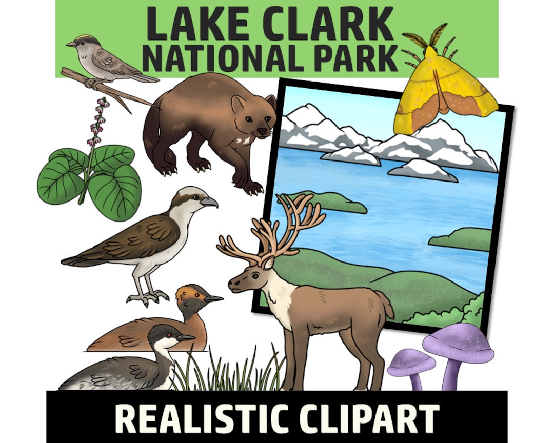 Lake Clark National Park Clipart: Alaska Plants & Animals - Etsy