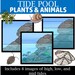 Tide Zone Clip Art and Intertidal Zones - Etsy