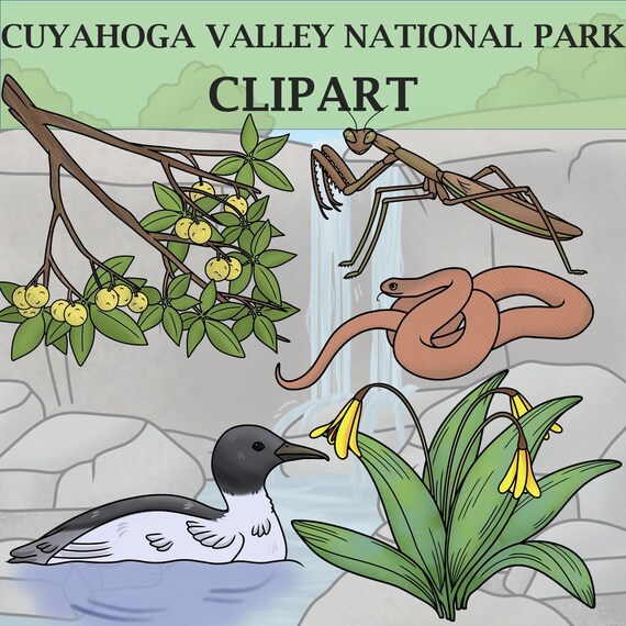Plants and Animals of Cuyahoga Valley National Park Clipart - Etsy