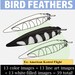 Bird Feathers Clip Art (feather Clipart) - Etsy