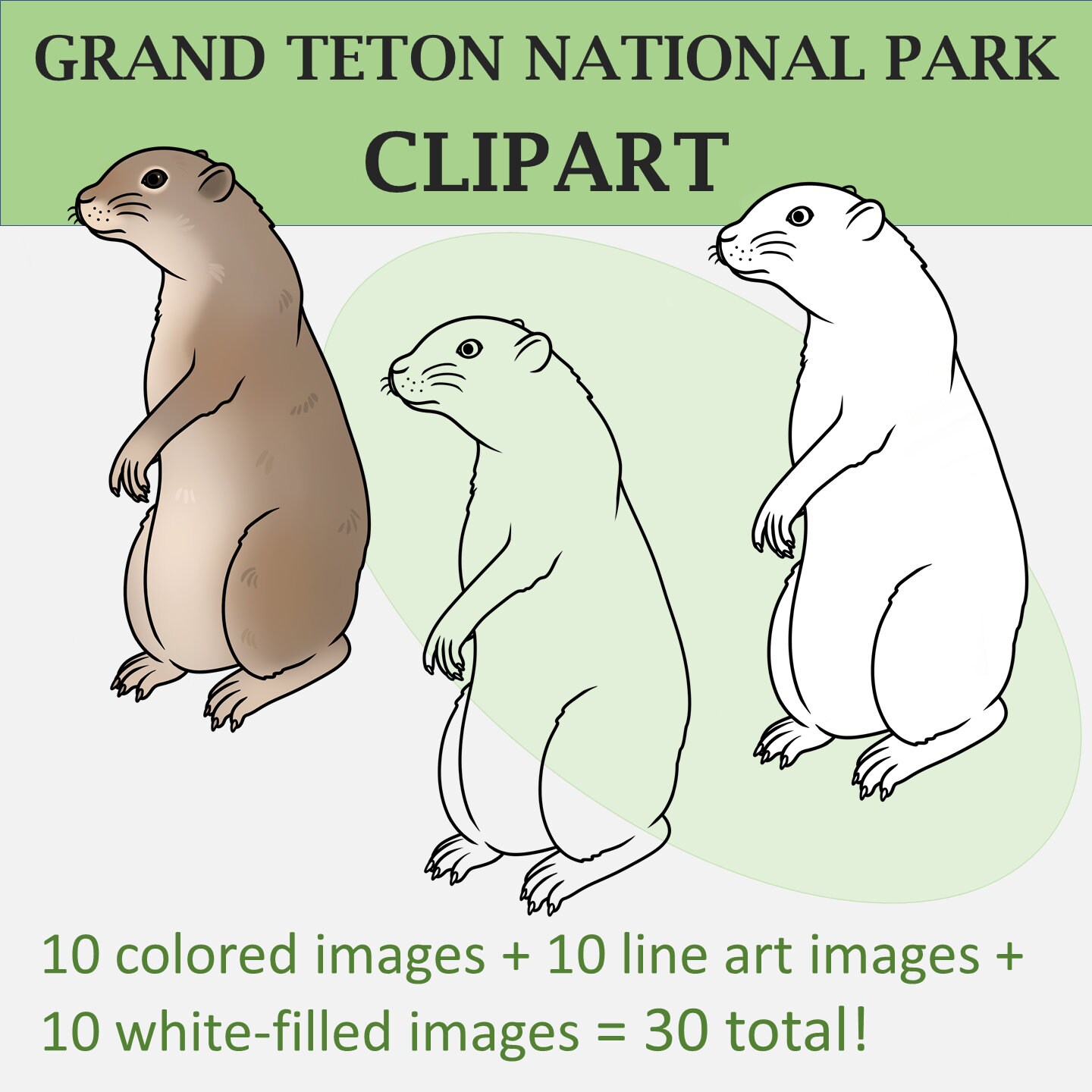 Plants and Animals of Grand Teton National Park Clipart - Etsy