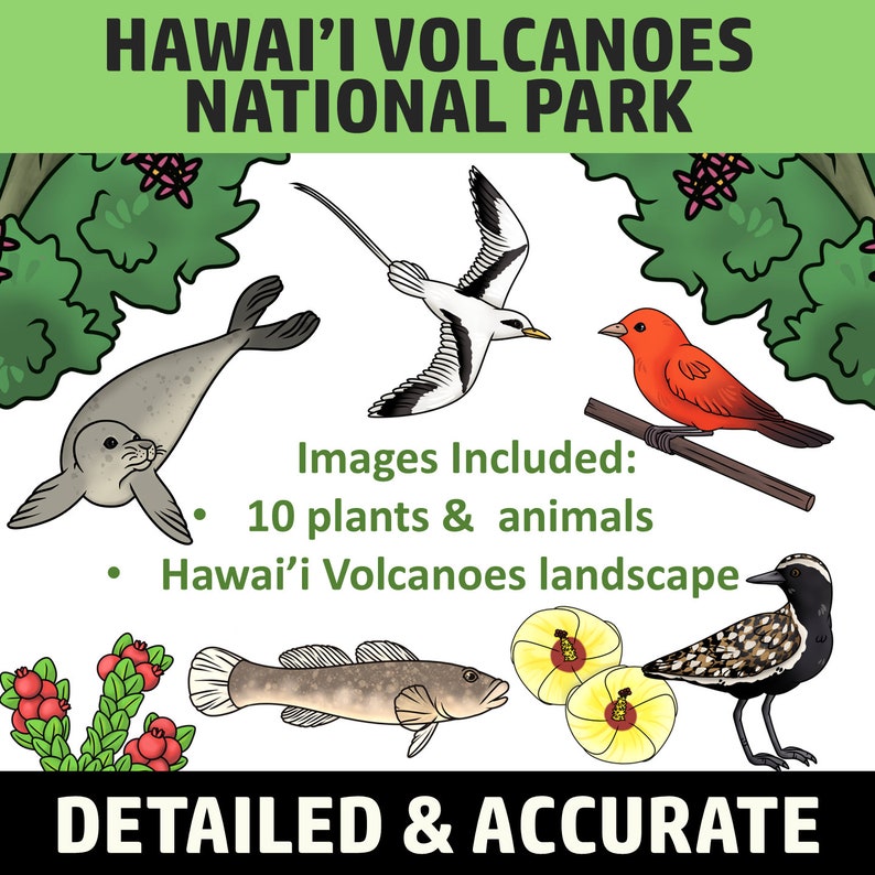 Hawaii Islands Clip Art national Park Clipart - Etsy
