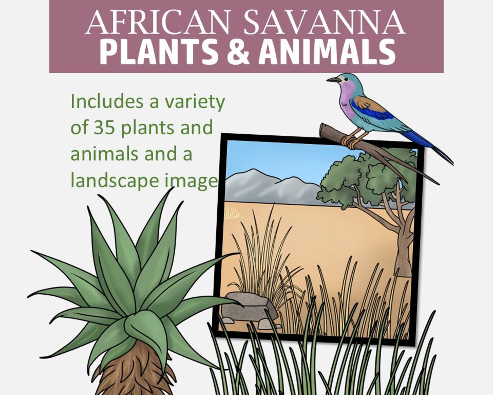 Plants and Animals of the African Savanna Clipart - Etsy
