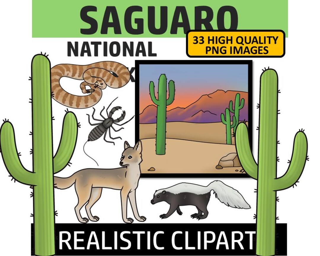 Saguaro National Park Clip Art - Etsy
