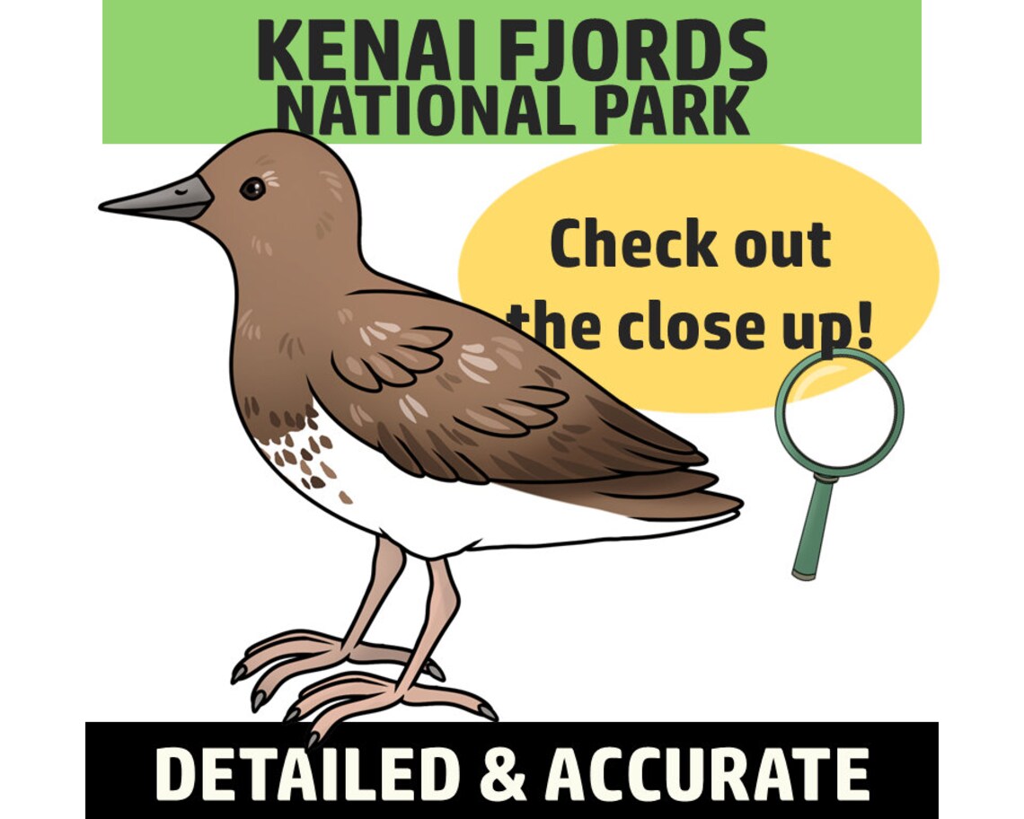 Kenai Fjords National Park Clip Art - National Park Clipart - Etsy