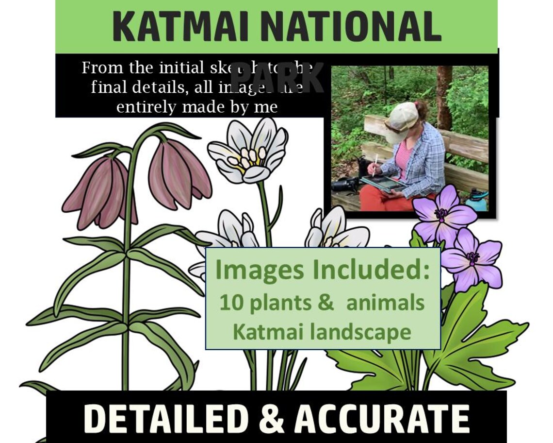 Plants and Animals of Katmai National Park Clipart - Etsy