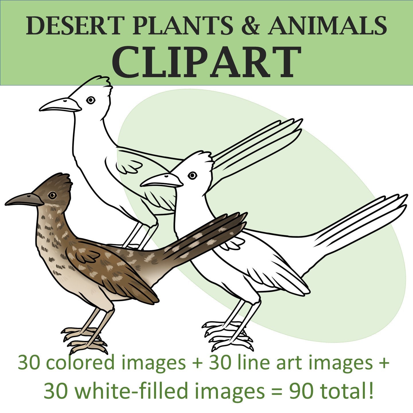 Desert Plants and Animals of North America Clipart - Etsy