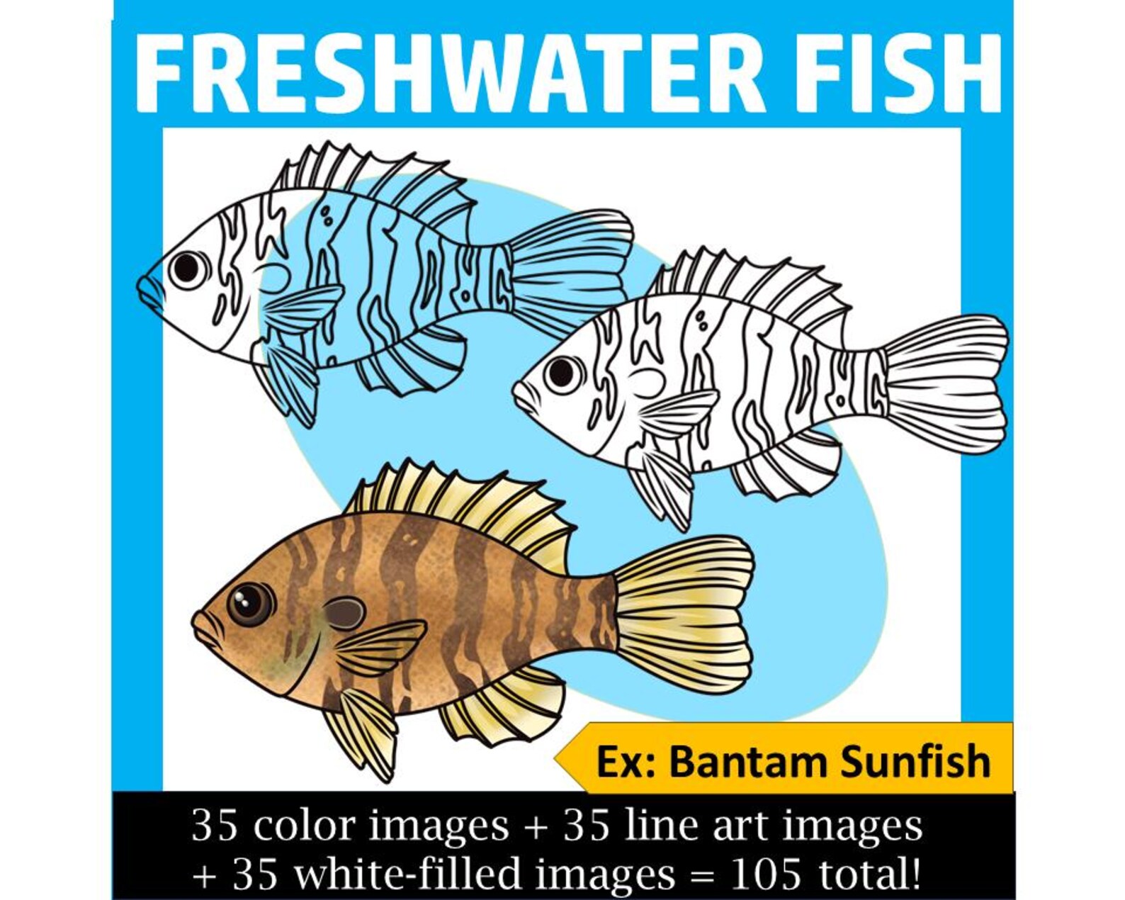 Freshwater Fish Clip Art (freshwater Fish of North America Clipart) - Etsy