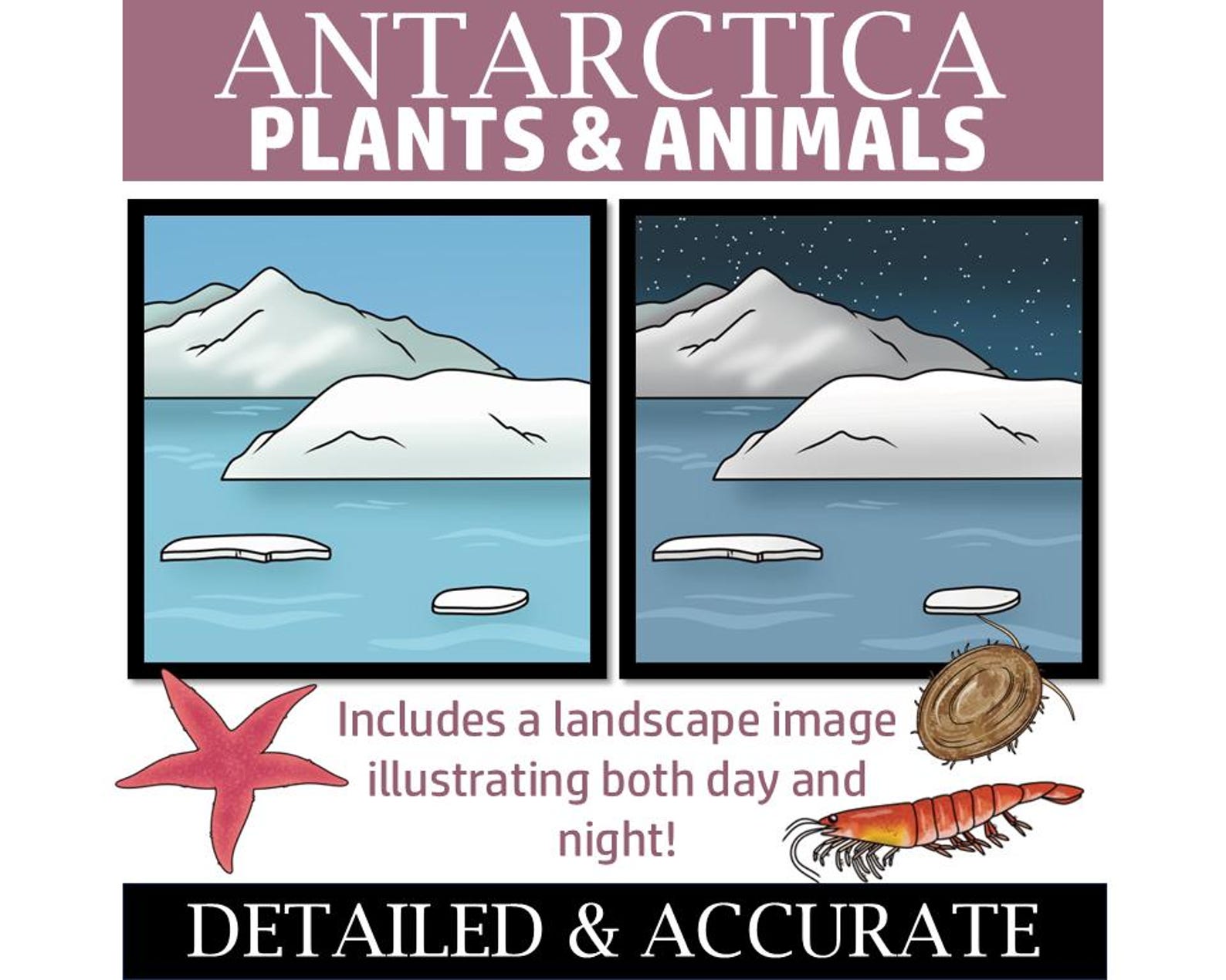 Antarctica Clip Art (plants and Animals of Antarctica Clip Art) - Etsy