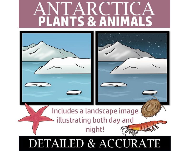 Antarctica Clip Art (plants and Animals of Antarctica Clip Art) - Etsy